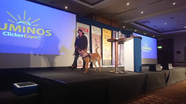 Home Page - AV Events